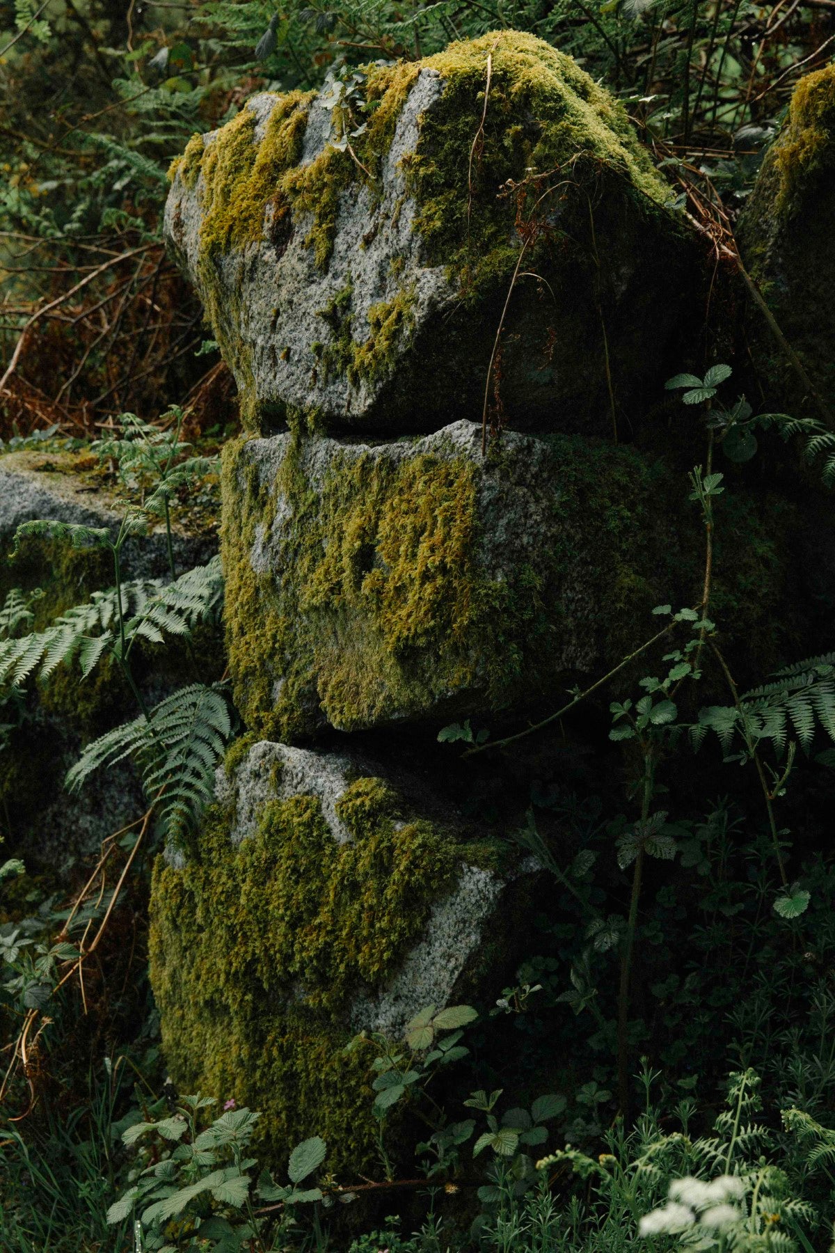 Exclusive Irish accessories to wear, to gift, for home