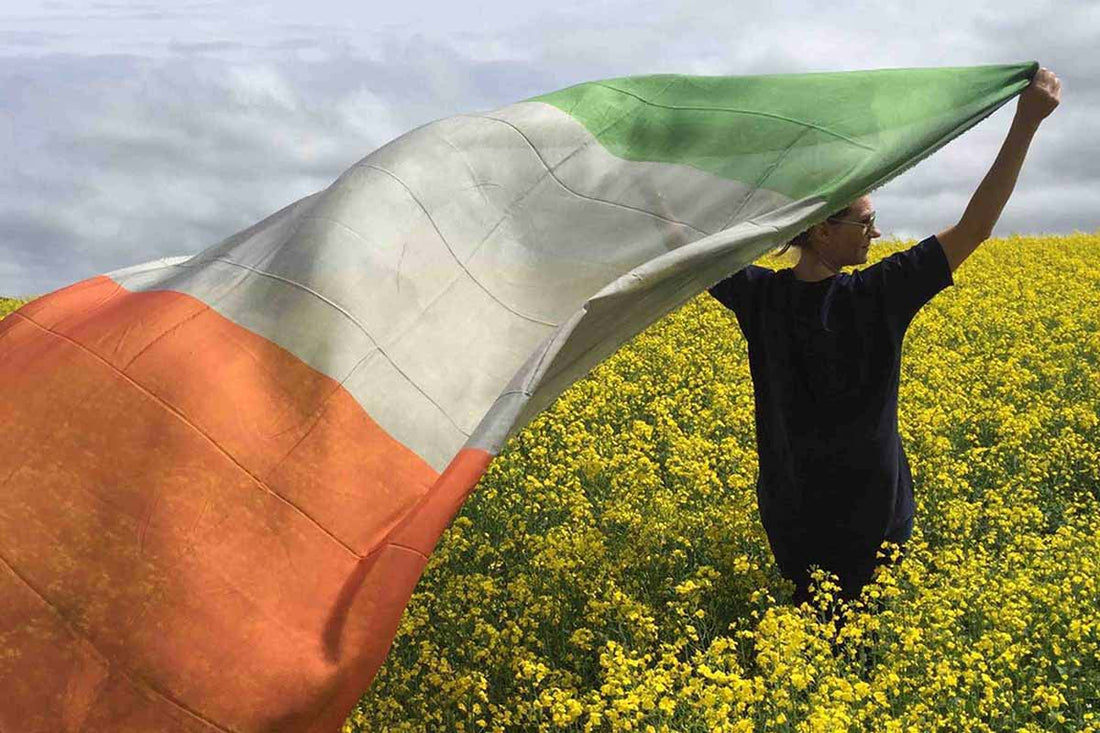 About STABLE of Ireland