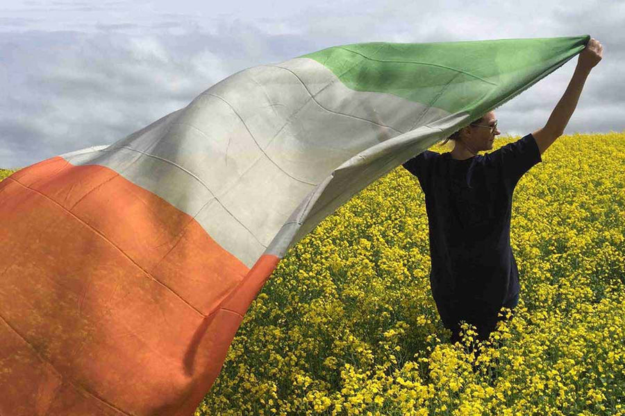 About STABLE of Ireland